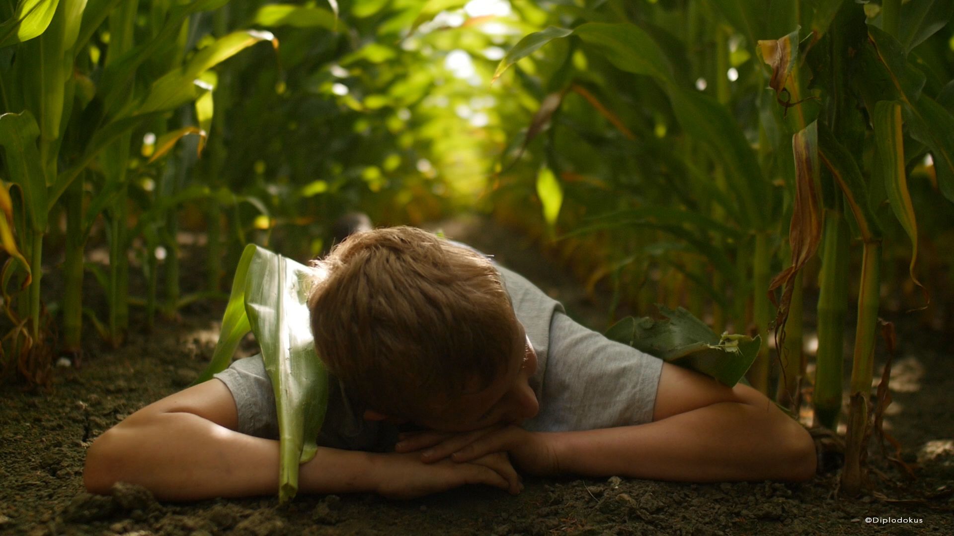 Photo du film Ceres - Photo 2 sur 9 - AlloCiné