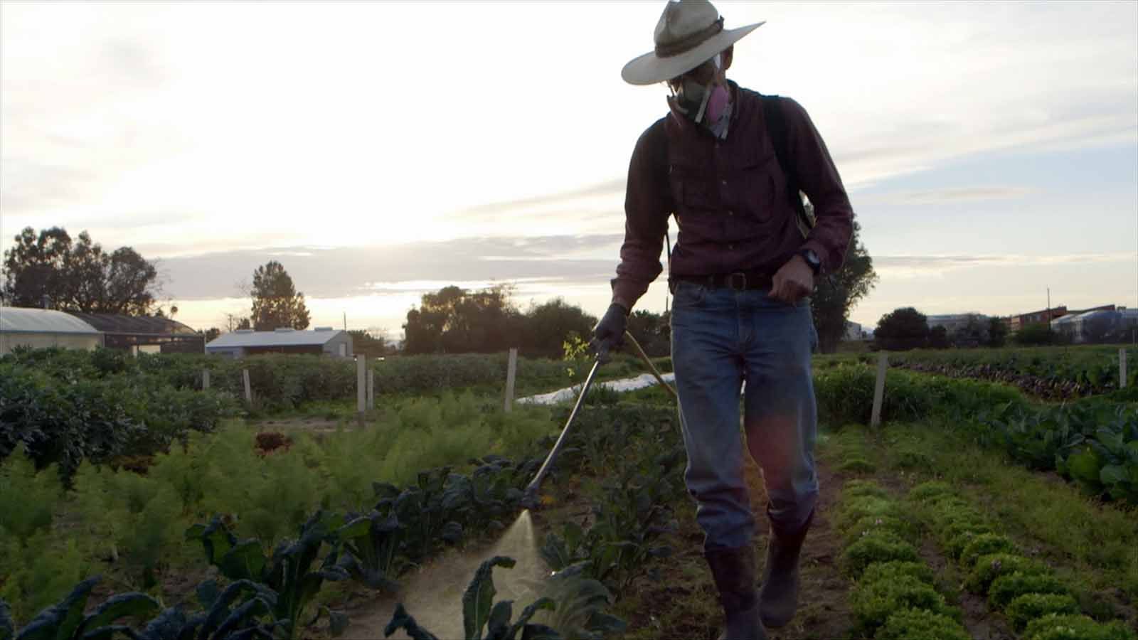 Photo du film Food Evolution - Photo 6 sur 9 - AlloCiné