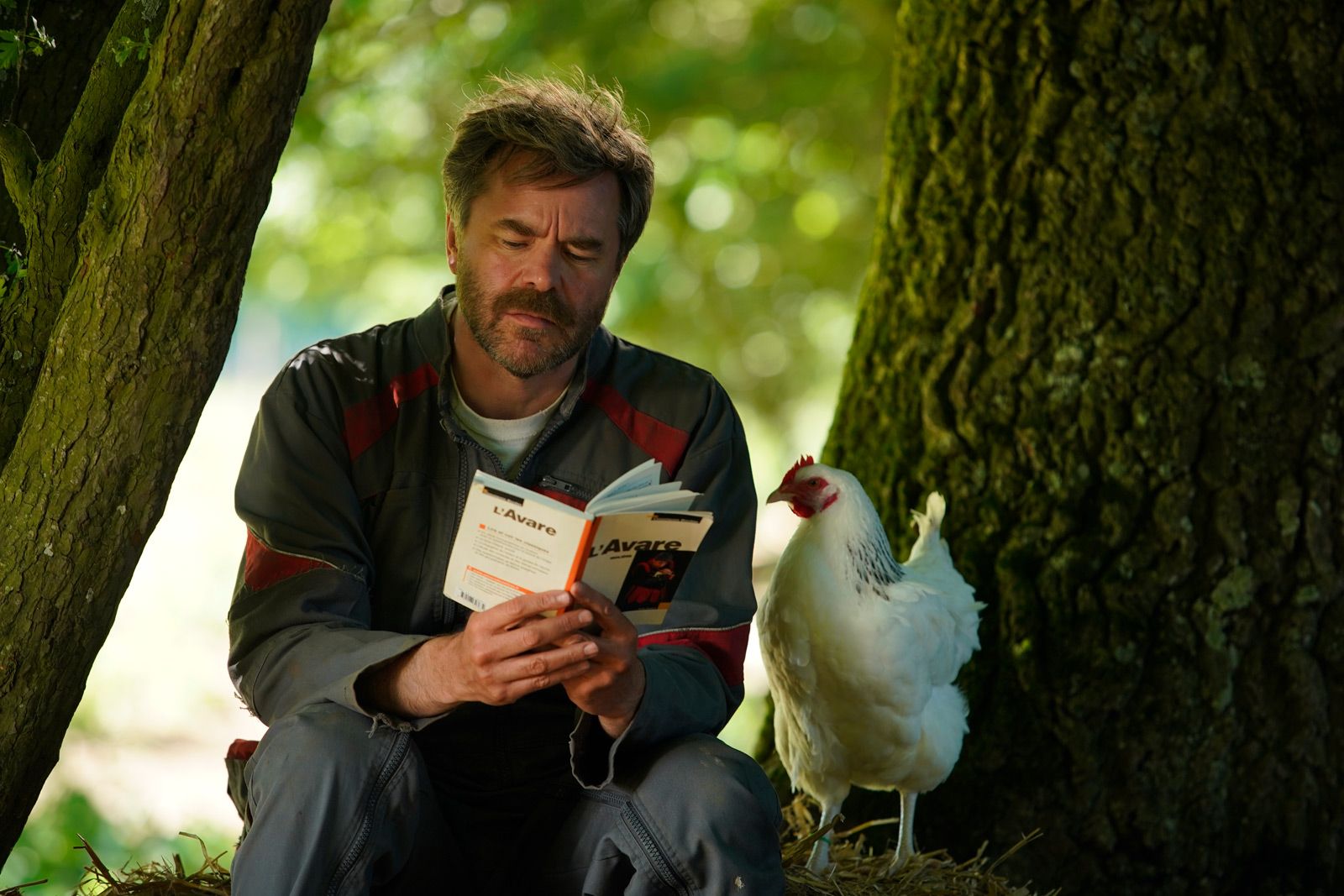 Photo du film Roxane - Photo 11 sur 11 - AlloCiné