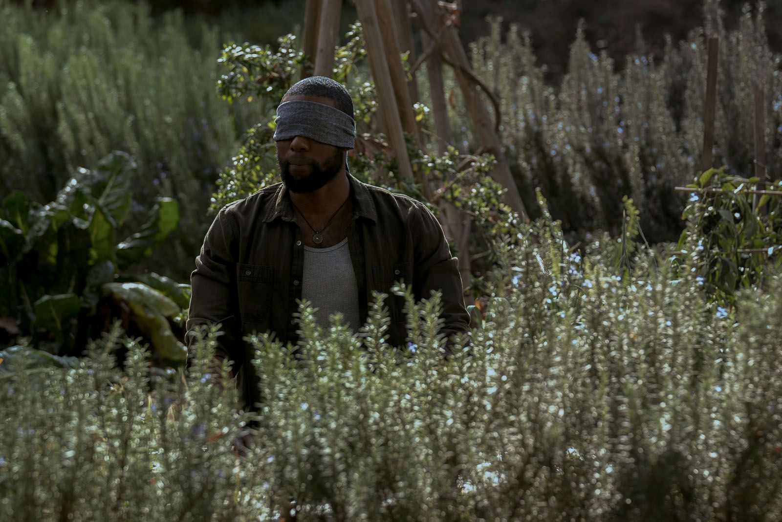 Photo du film Bird Box - Photo 16 sur 20 - AlloCiné