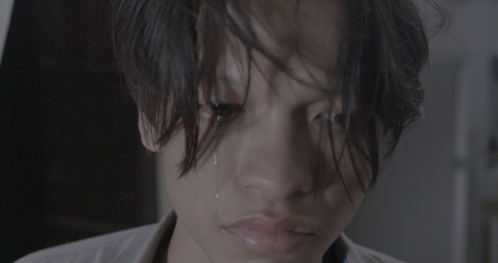 Photo du film Plan Bee - Photo 6 sur 11 - AlloCiné