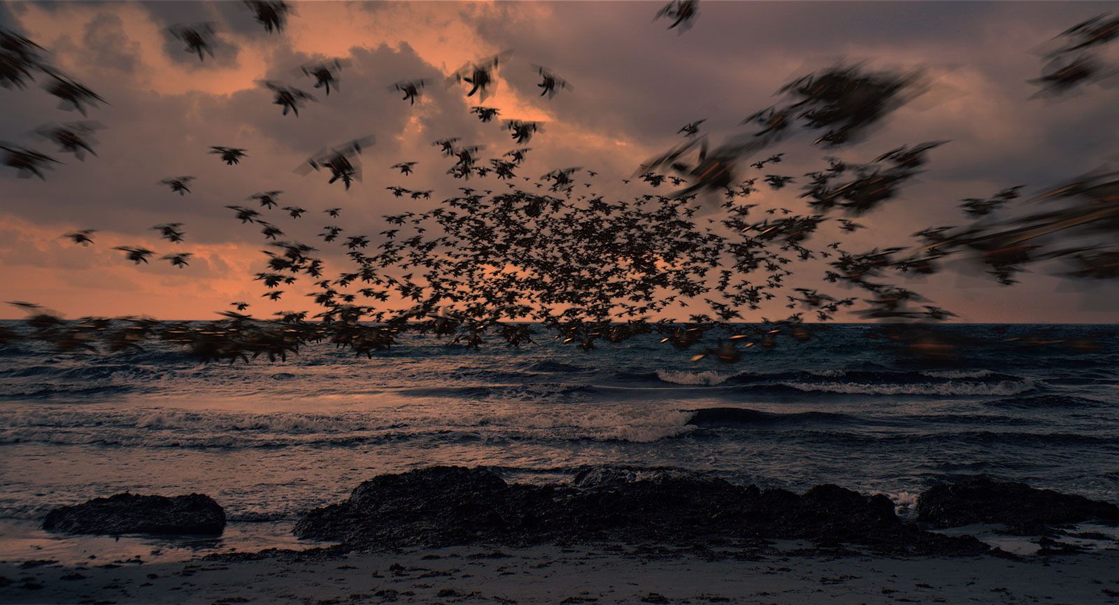 Photo du film Jessica Forever - Photo 3 sur 10 - AlloCiné