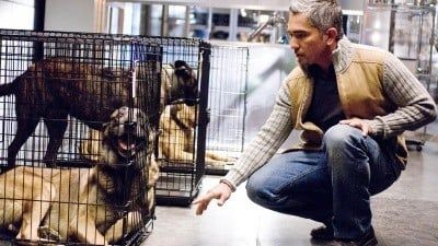 Poster Bones saison 4 - Affiche 75 sur 1033 - AlloCiné