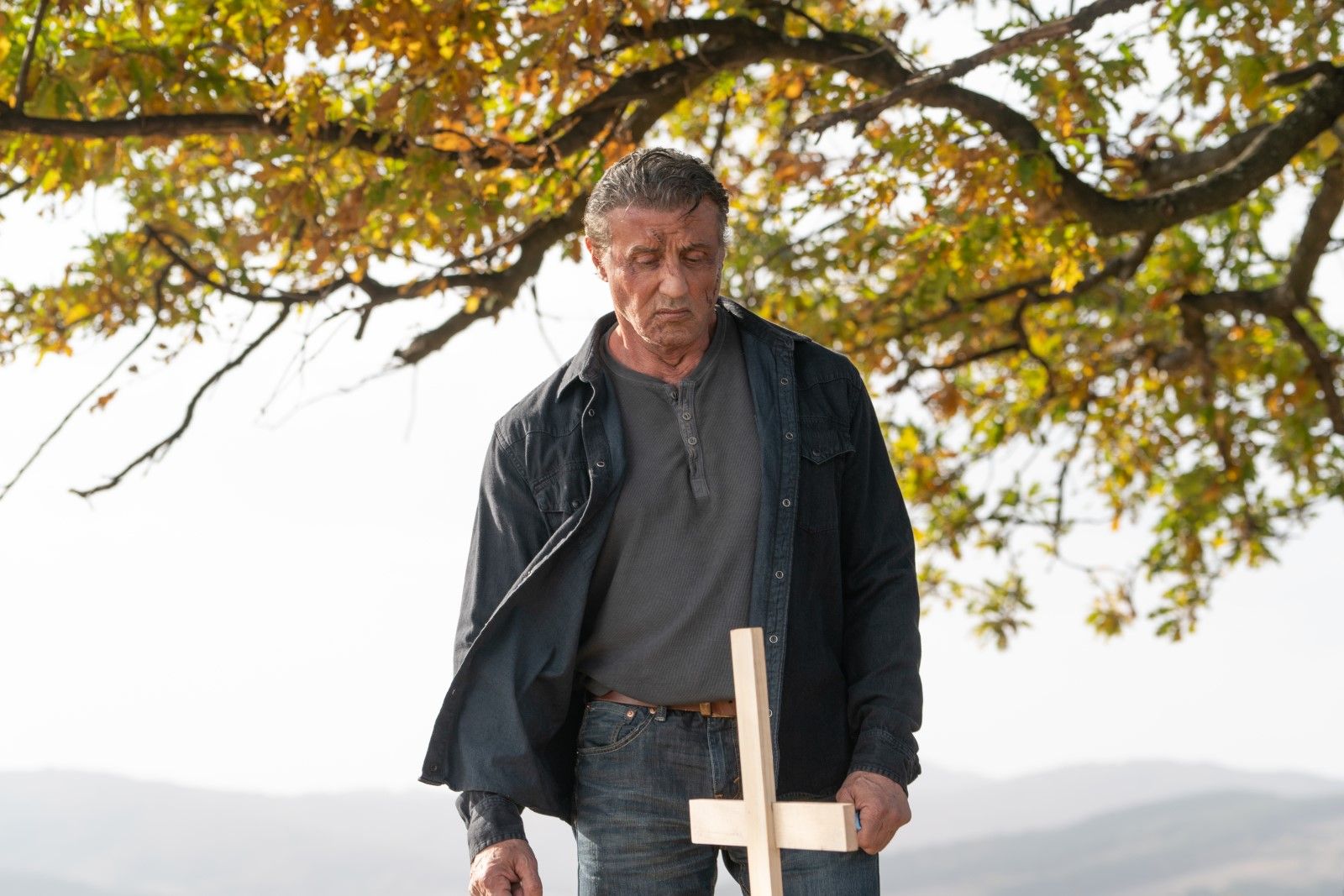 Photo du film Rambo: Last Blood - Photo 37 sur 51 - AlloCiné