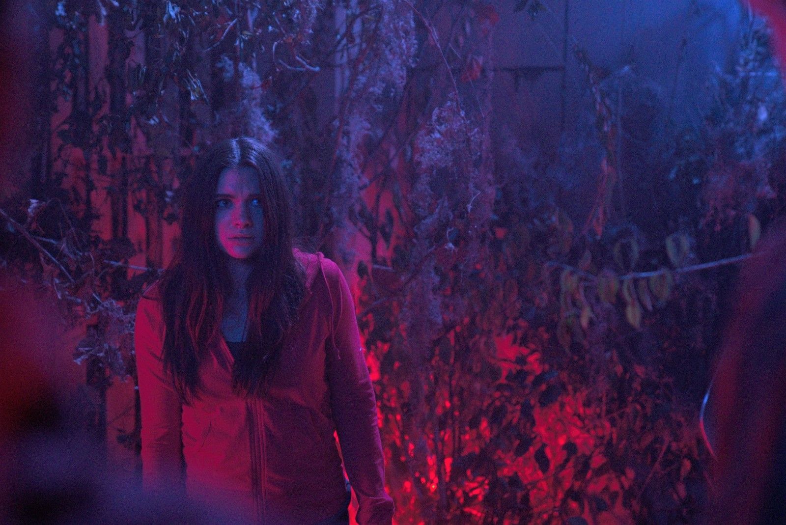 Photo du film Haunt - Photo 4 sur 29 - AlloCiné