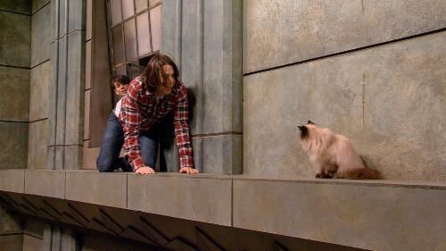 Poster iCarly saison 2 - Affiche 65 sur 152 - AlloCiné