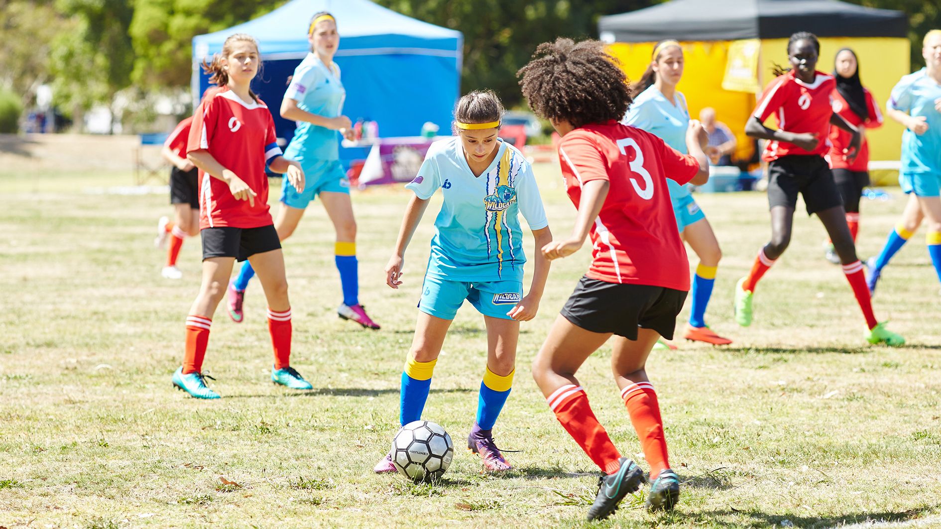 Mustangs FC : Mustangs FC : Photo - 8 sur 11 - AlloCiné