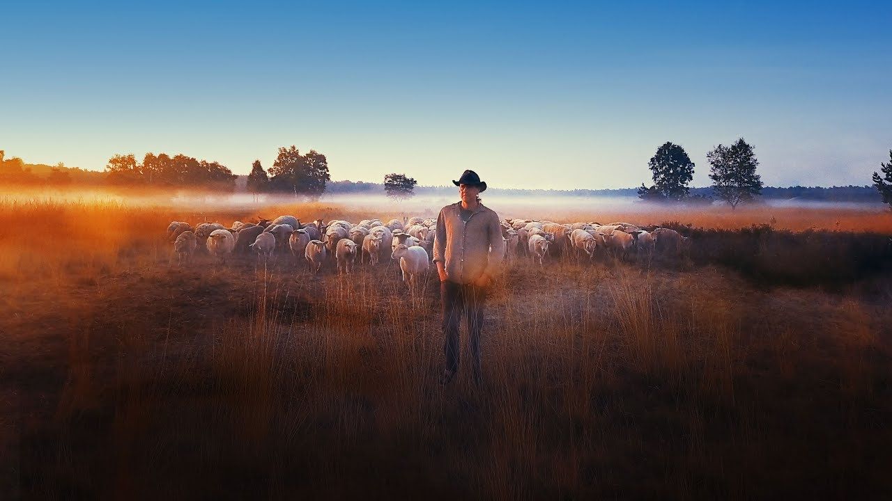 Photo du film No Way - Photo 3 sur 6 - AlloCiné