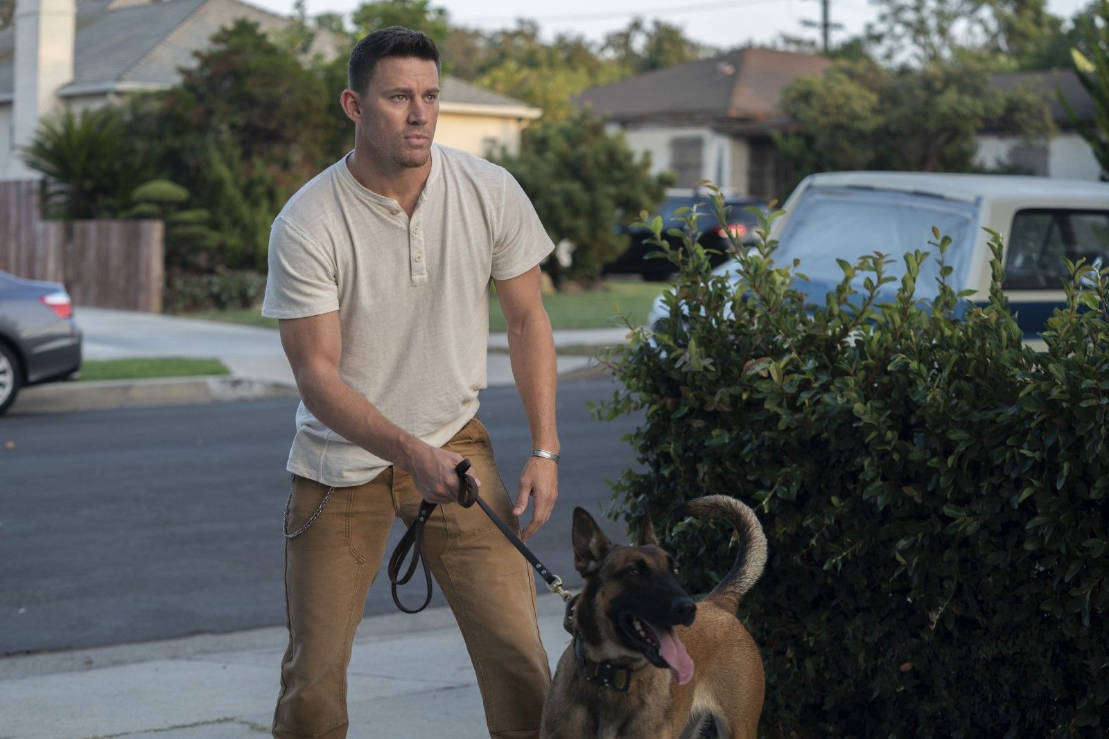 Photo de Channing Tatum - Dog : Photo Channing Tatum - Photo 58 sur 294 ...