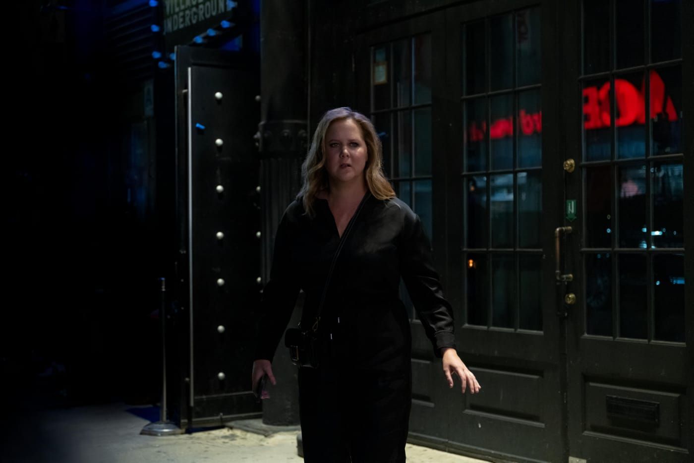 Life & Beth : Photo Amy Schumer - 35 sur 41 - AlloCiné