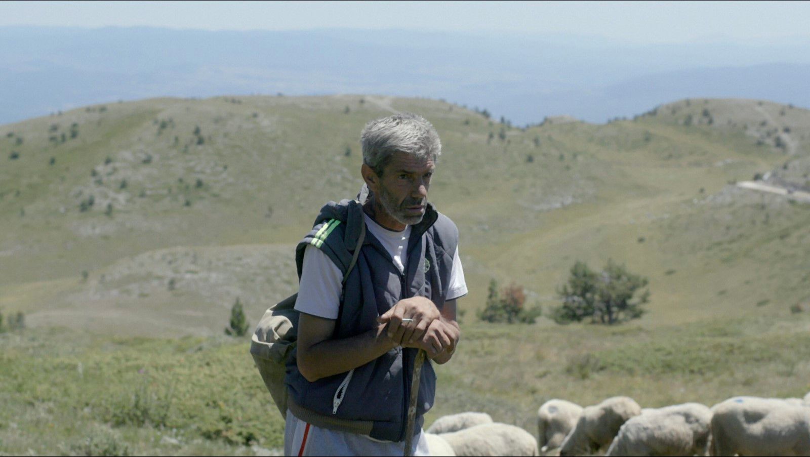 Photo du film Mayor, Shepherd, Widow, Dragon - Photo 2 sur 7 - AlloCiné