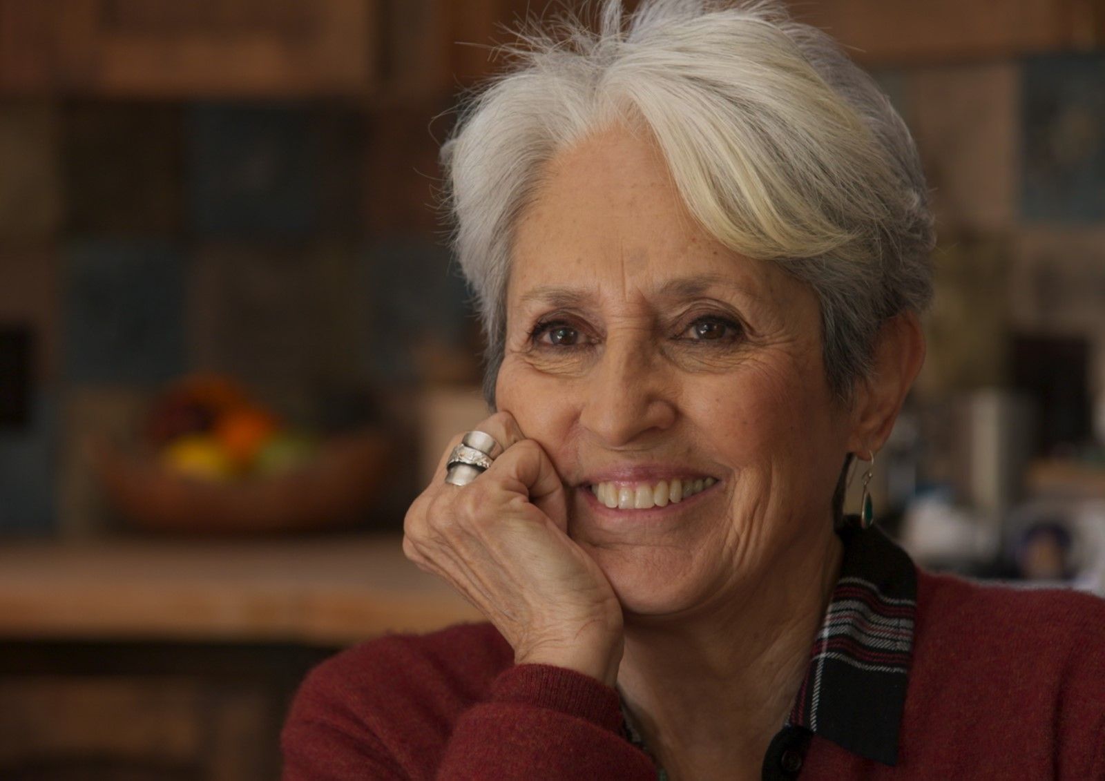 Photo du film Joan Baez I Am A Noise - Photo 6 sur 7 - AlloCiné
