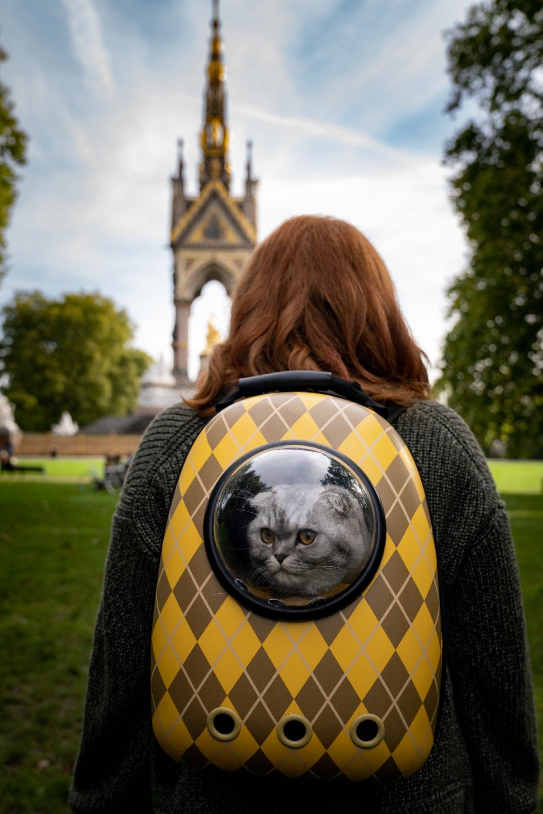 Photo du film Argylle - Photo 15 sur 40 - AlloCiné