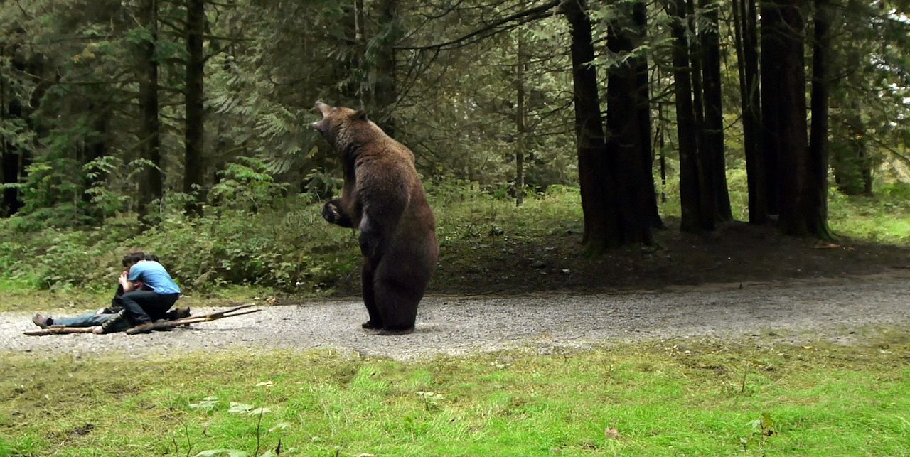 Photo de Connor Beardmore - Photo Connor Beardmore - Photo 1 sur 2 ...