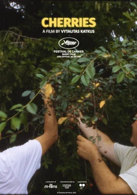 Photo de Uogos - Photo 6 sur 6 - AlloCiné