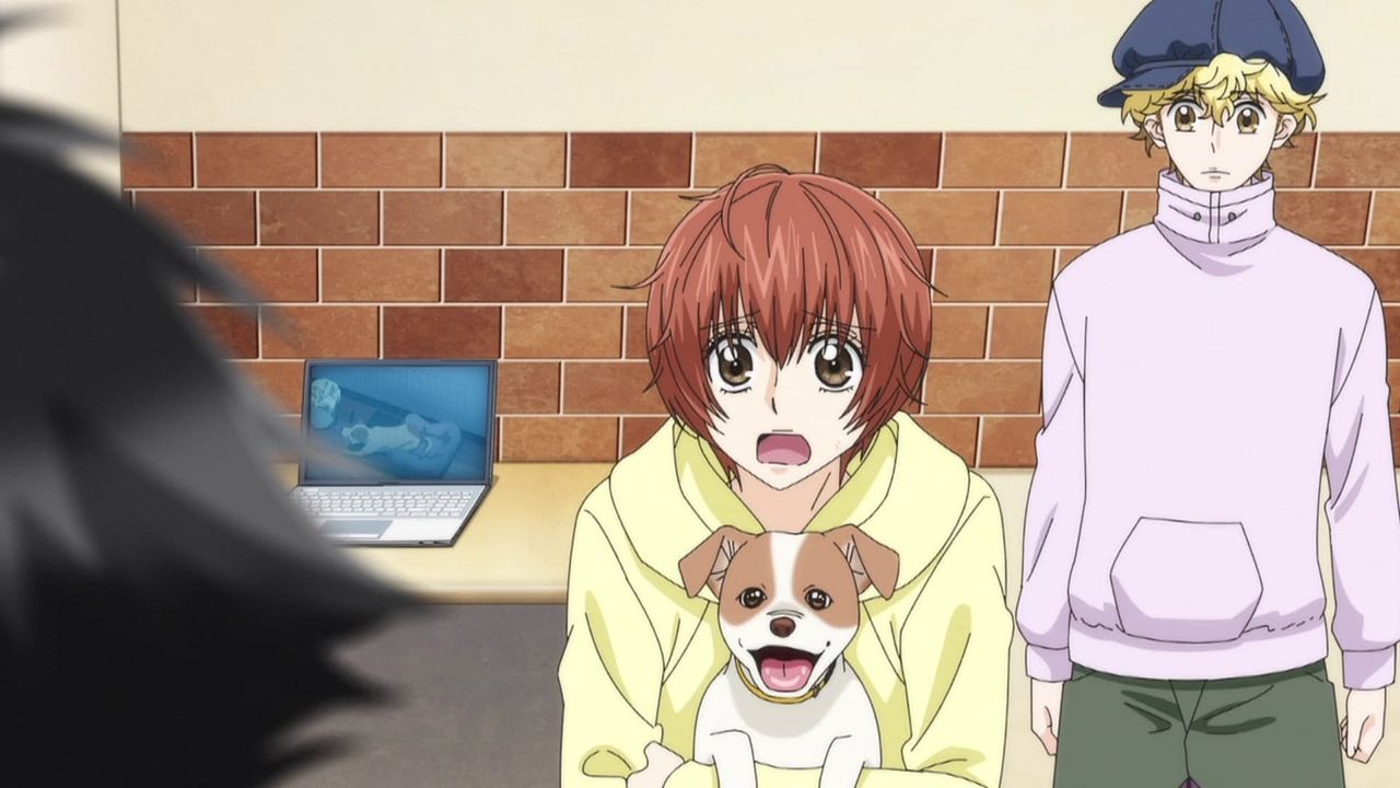 Poster Dog Signal saison 1 - Affiche 7 sur 21 - AlloCiné