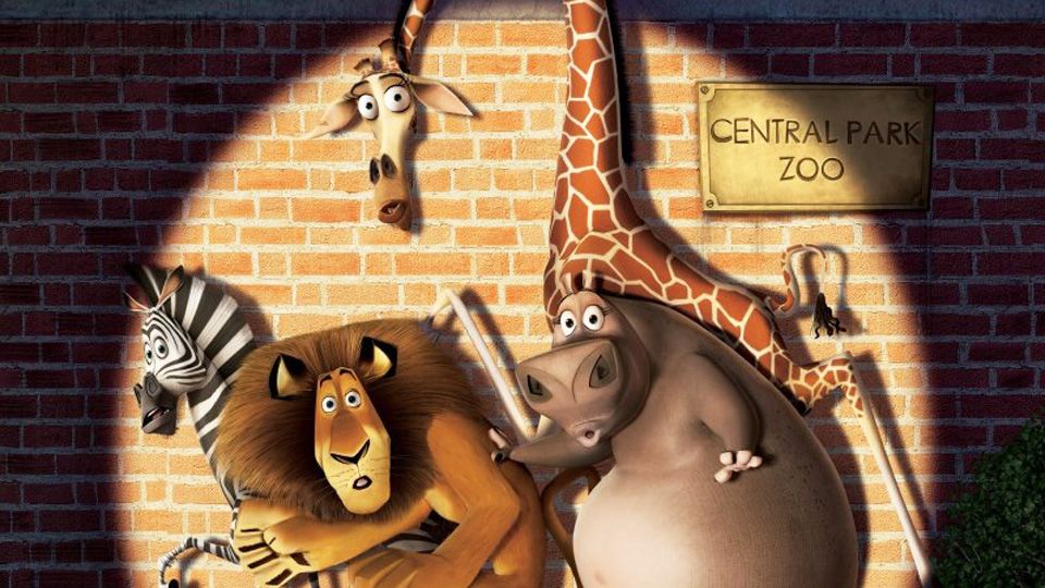 Les zoos - AlloCiné