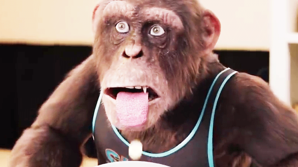 Trailer du film C.I.Ape - C.I.Ape Bande-annonce VO - AlloCiné