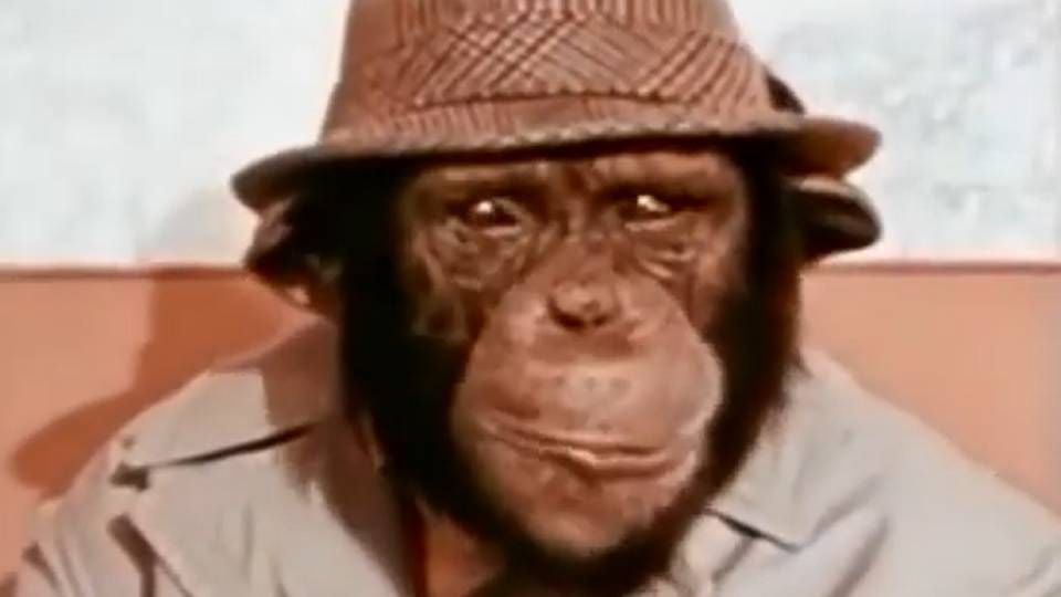 Lancelot Link: Secret Chimp Générique VO - Vidéo Lancelot Link: Secret ...